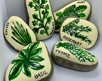 Herb Garden Rocks Hand-painted Set of 8 (sage, Thyme, Rosemary ...