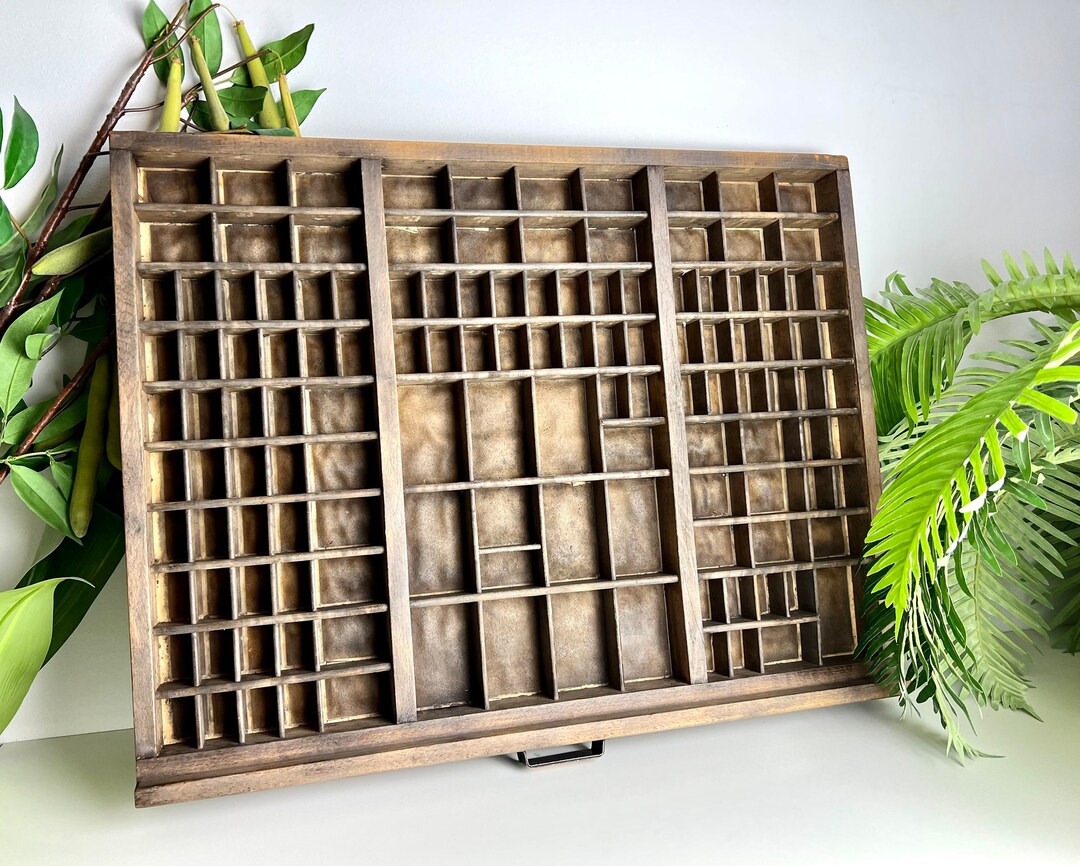 Vintage Large Letterpress Drawer Display Case, Curio Display, Shadow ...