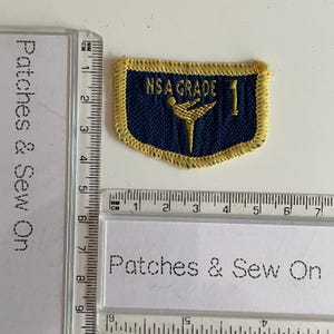 Vintage Patch NSA National Skating Association Grade 1 Ice Roller ...