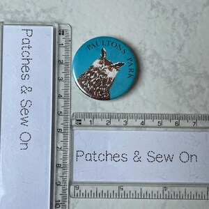 Vintage Badge PAULTON'S PARK Owl New Forest Hampshire Theme Park Pin ...