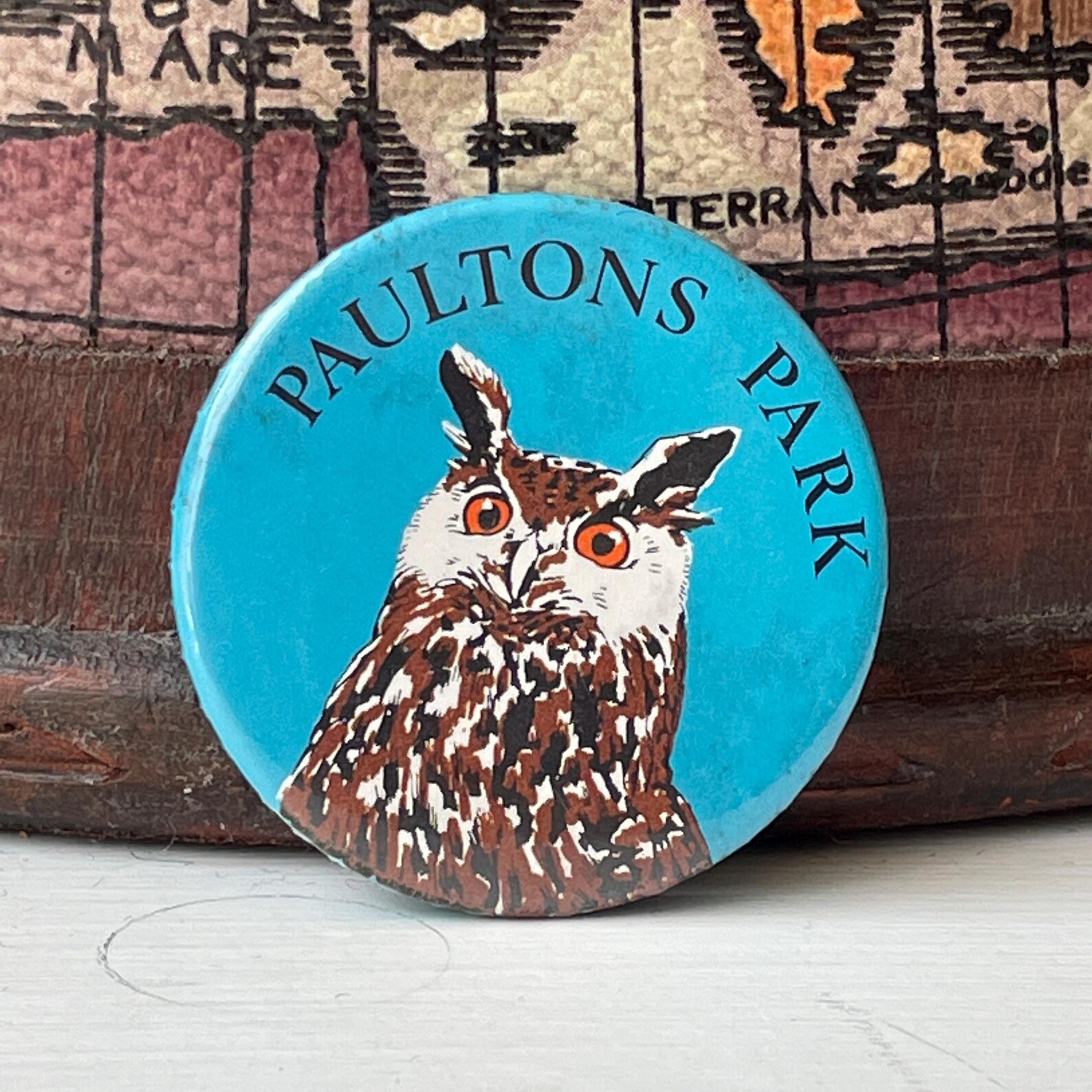 Vintage Badge PAULTON'S PARK Owl New Forest Hampshire Theme Park Pin ...