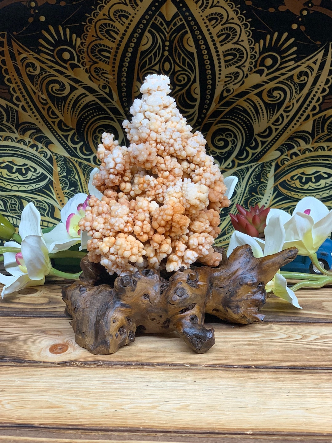 Cauliflower Cave Calcite Aka Orange Aragonite From Chihuahua Mexico ...