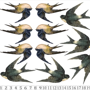 PRE-ORDER Medium Only Birds Allowed Fabric Applique Free US Shipping - Etsy