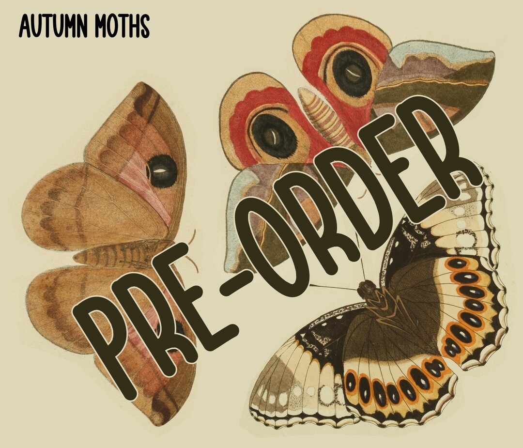 PRE-ORDER 3 JUMBO Autumn Moths - Etsy