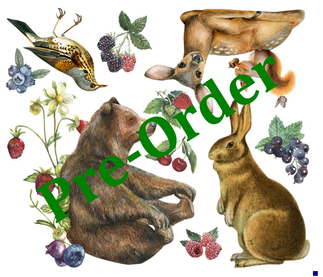 PRE-ORDER JUMBO Berry Bear-y Good Friends Fabric Applique Free Usa ...