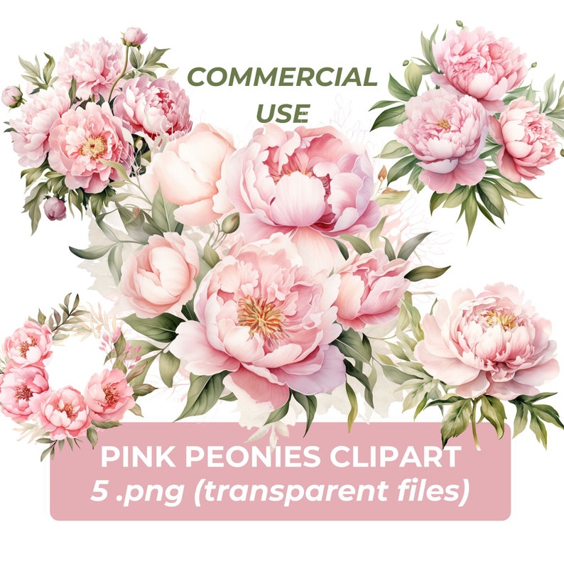 Pink Peony Png, Pink Peonies Watercolor, Peonies Png, Pink Peony Clip ...
