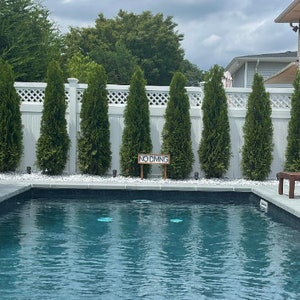 Pool Signs, Pool Rules, Shallow Water, No Diving Sign, Pool Decor ...