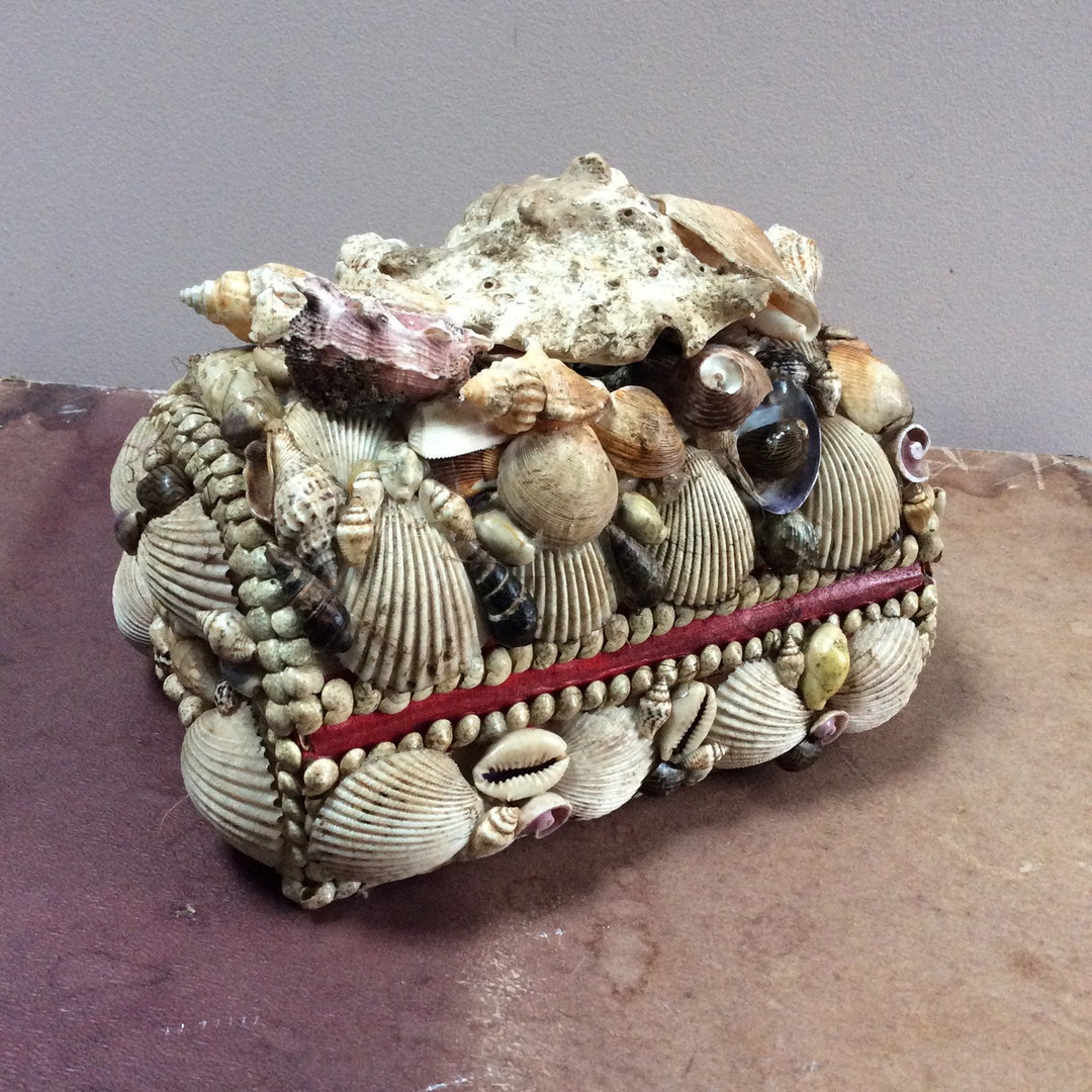 Vintage Shell Box - Etsy