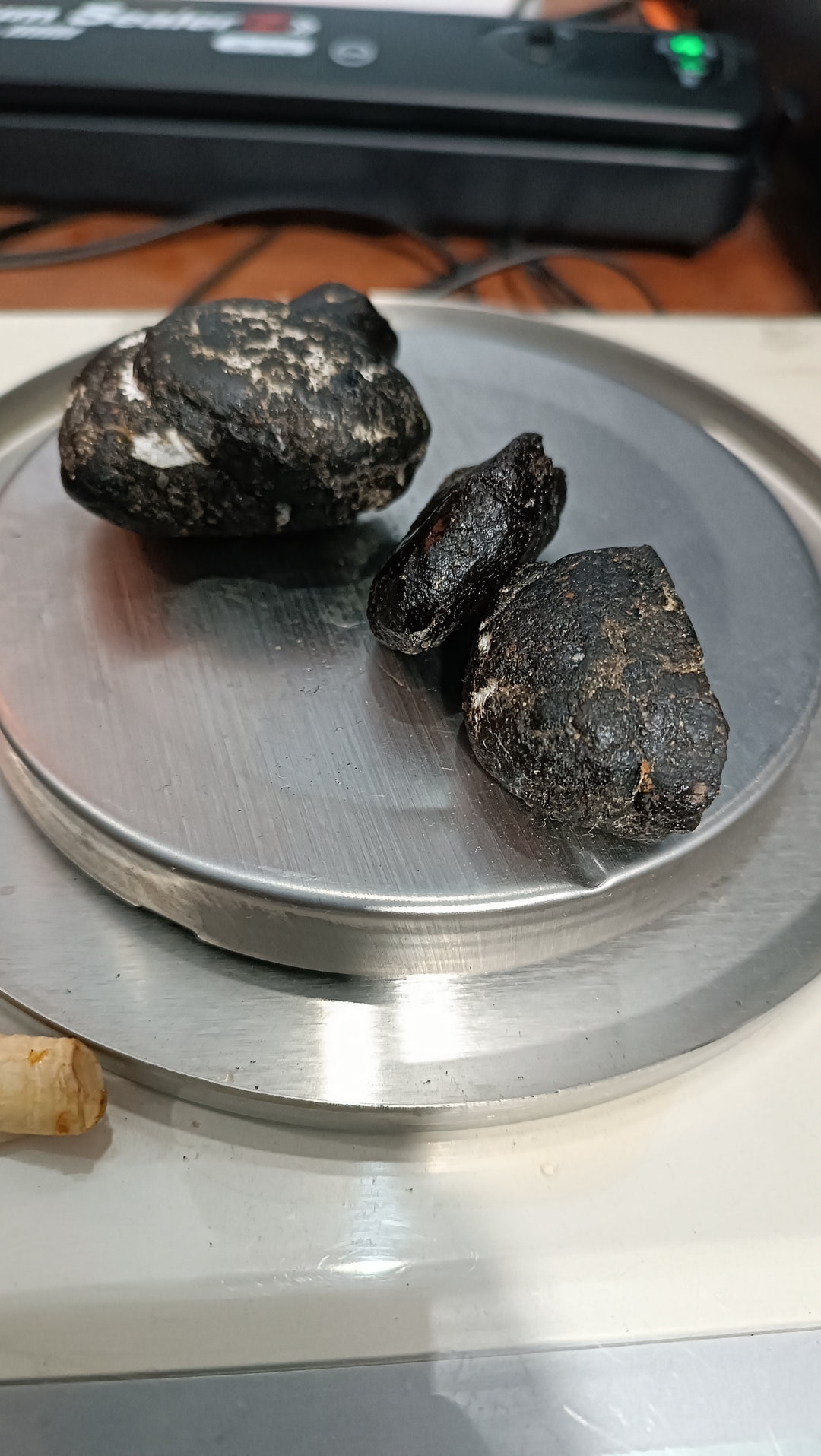 Whale Vomit / Ambergris / Anbar / Amber Grey / Black Ambergris - Etsy