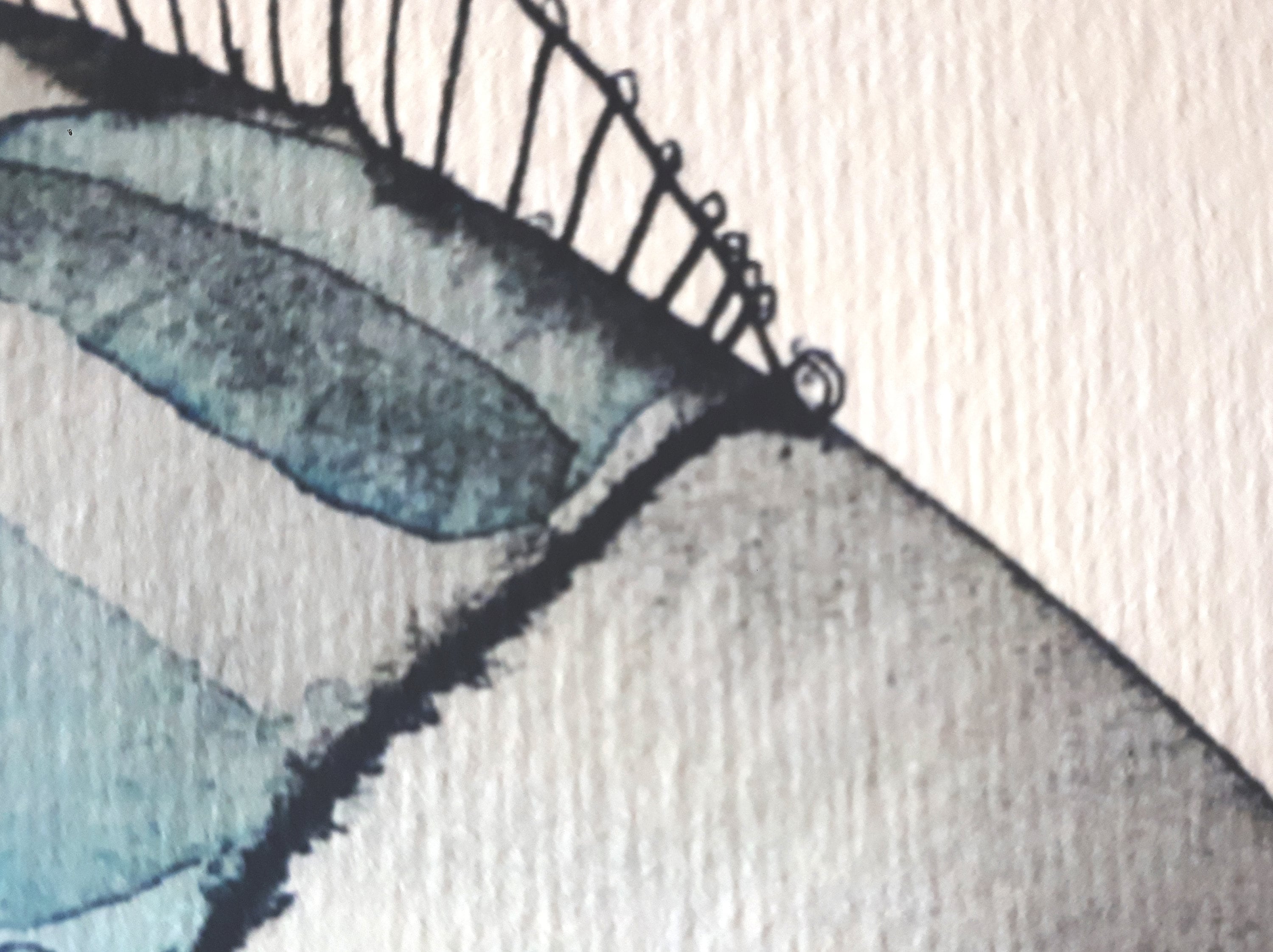 Fine Arts Print From Original Ink Drawing - Etsy