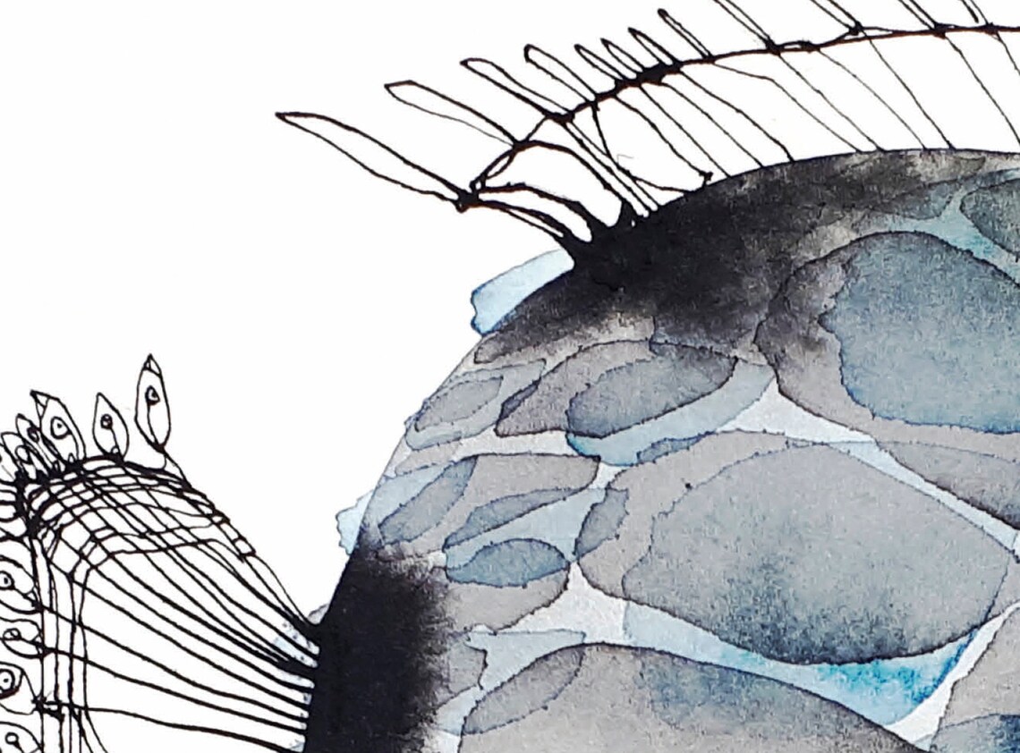 Fine Arts Print From Original Ink Drawing - Etsy