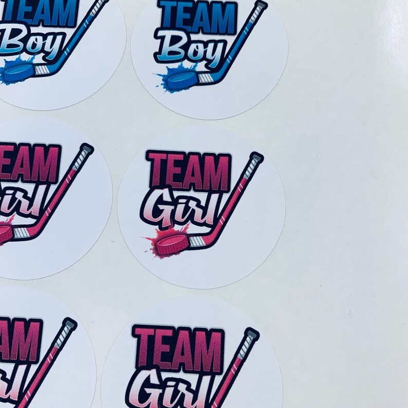 Hockey Puck Gender Reveal Stickers Labels Tags | Pink Blue Hockey ...