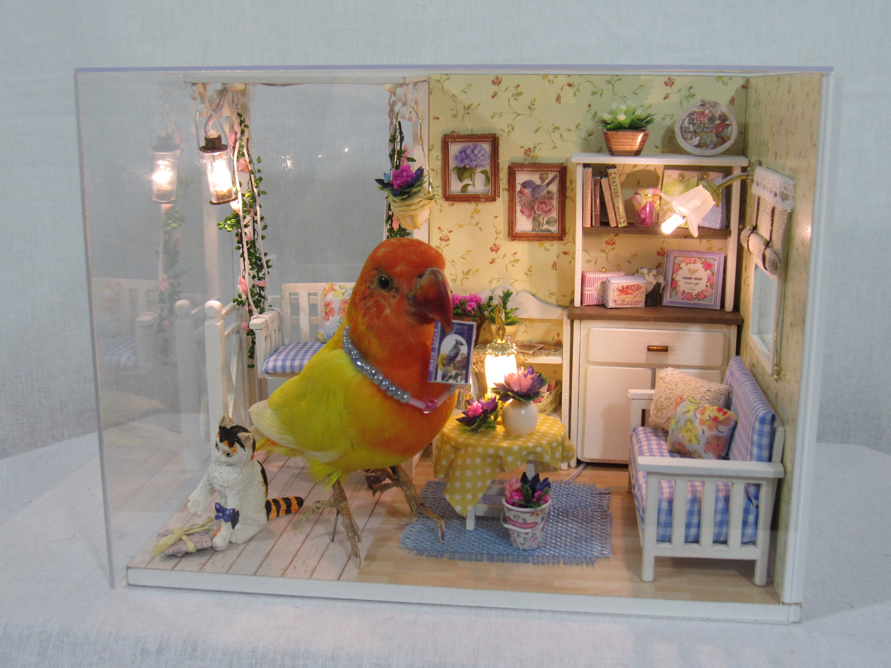 Taxidermy Lovebird Diorama Scene - Etsy