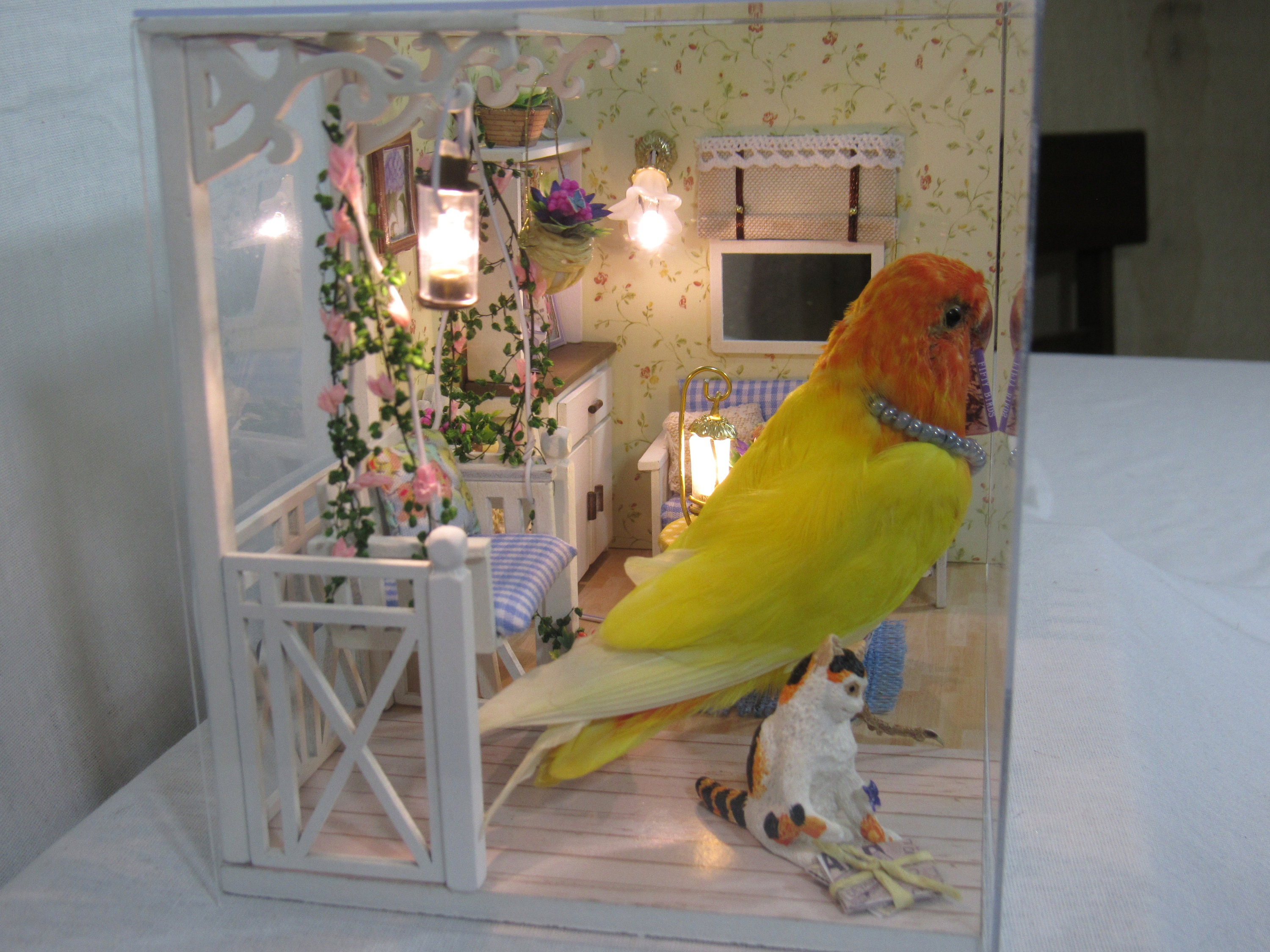Taxidermy Lovebird Diorama Scene - Etsy