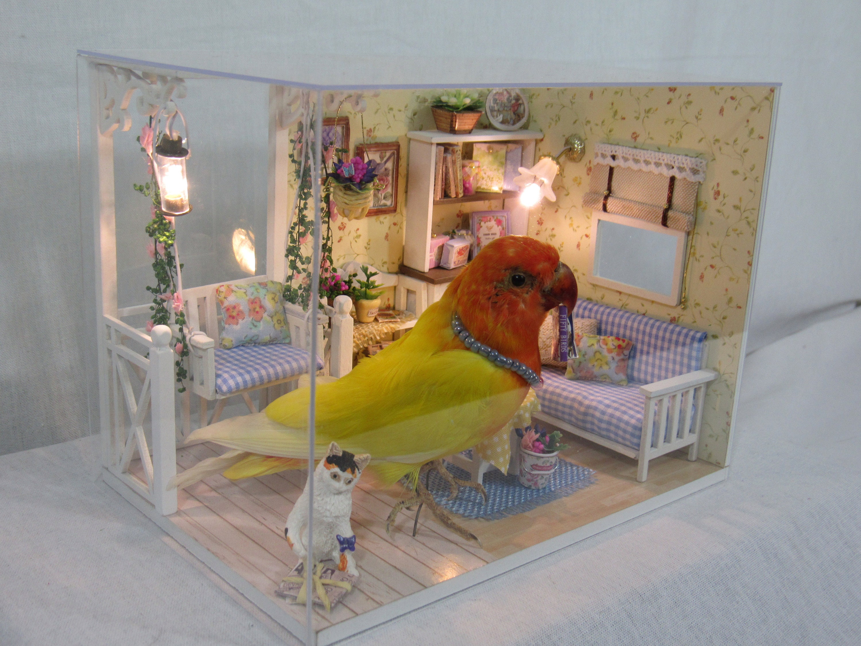 Taxidermy Lovebird Diorama Scene - Etsy