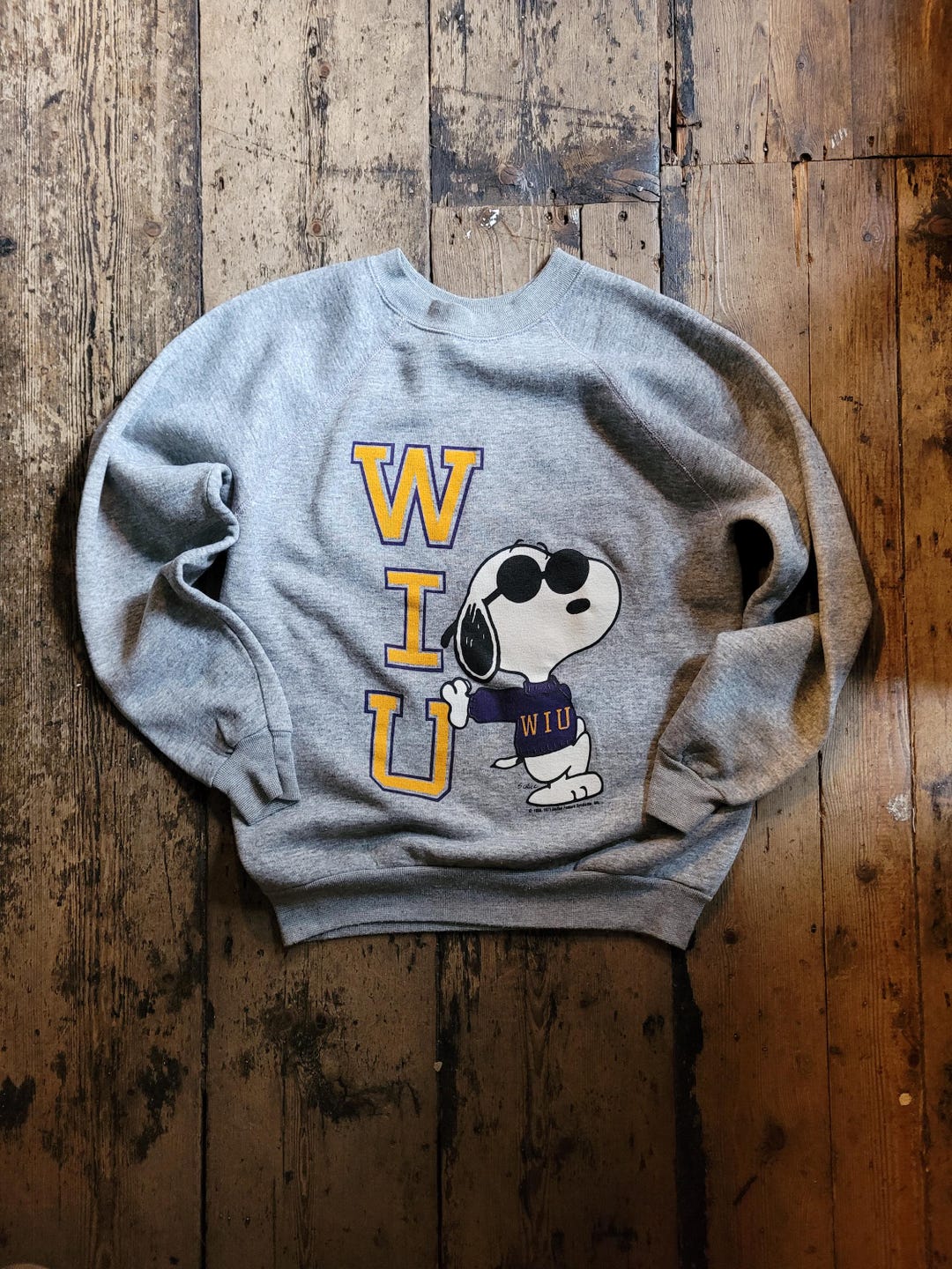 Vintage Snoopy College Sweatshirt, Super Soft, WIU, Artex Tag, Size ...