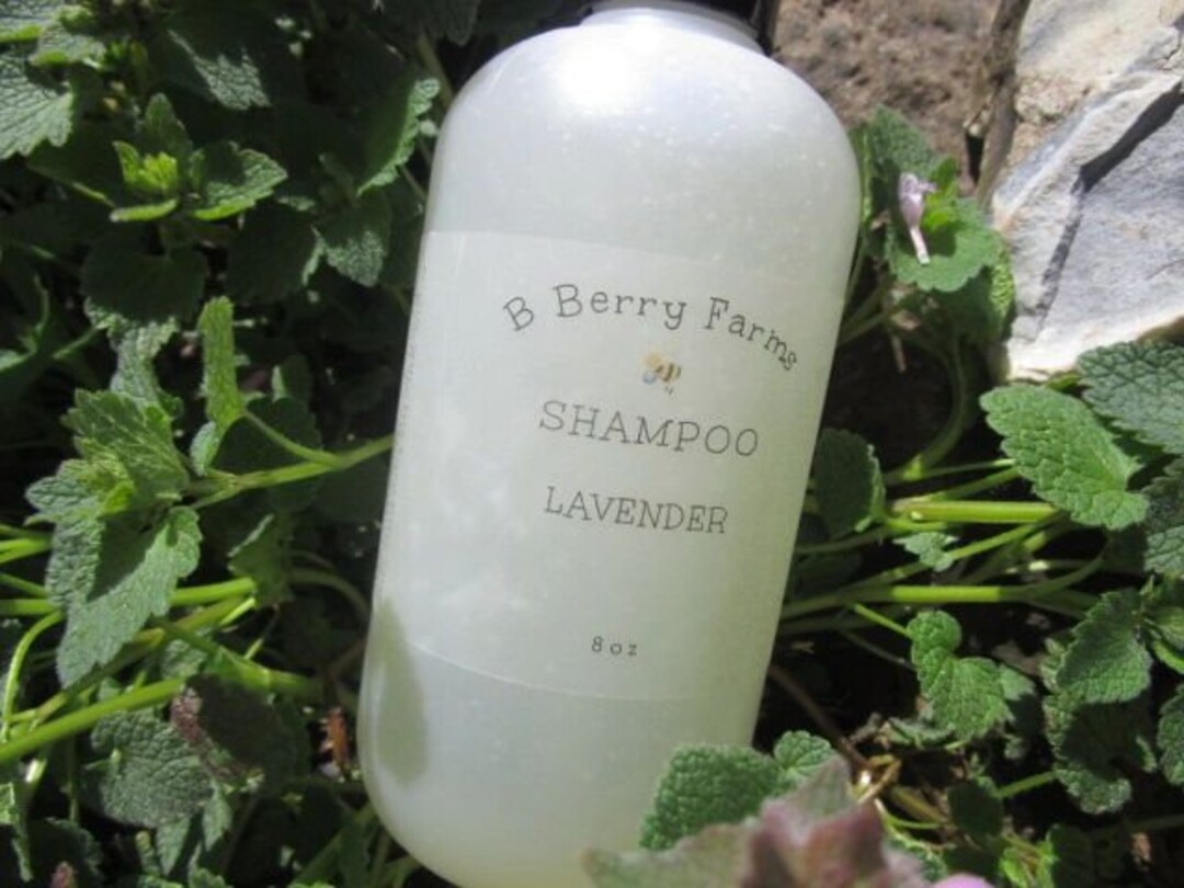 Lavender Shampoo - Etsy