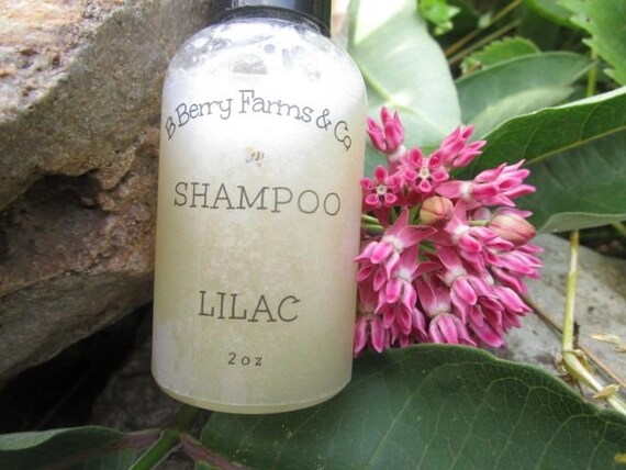 Lilac Shampoo | Etsy