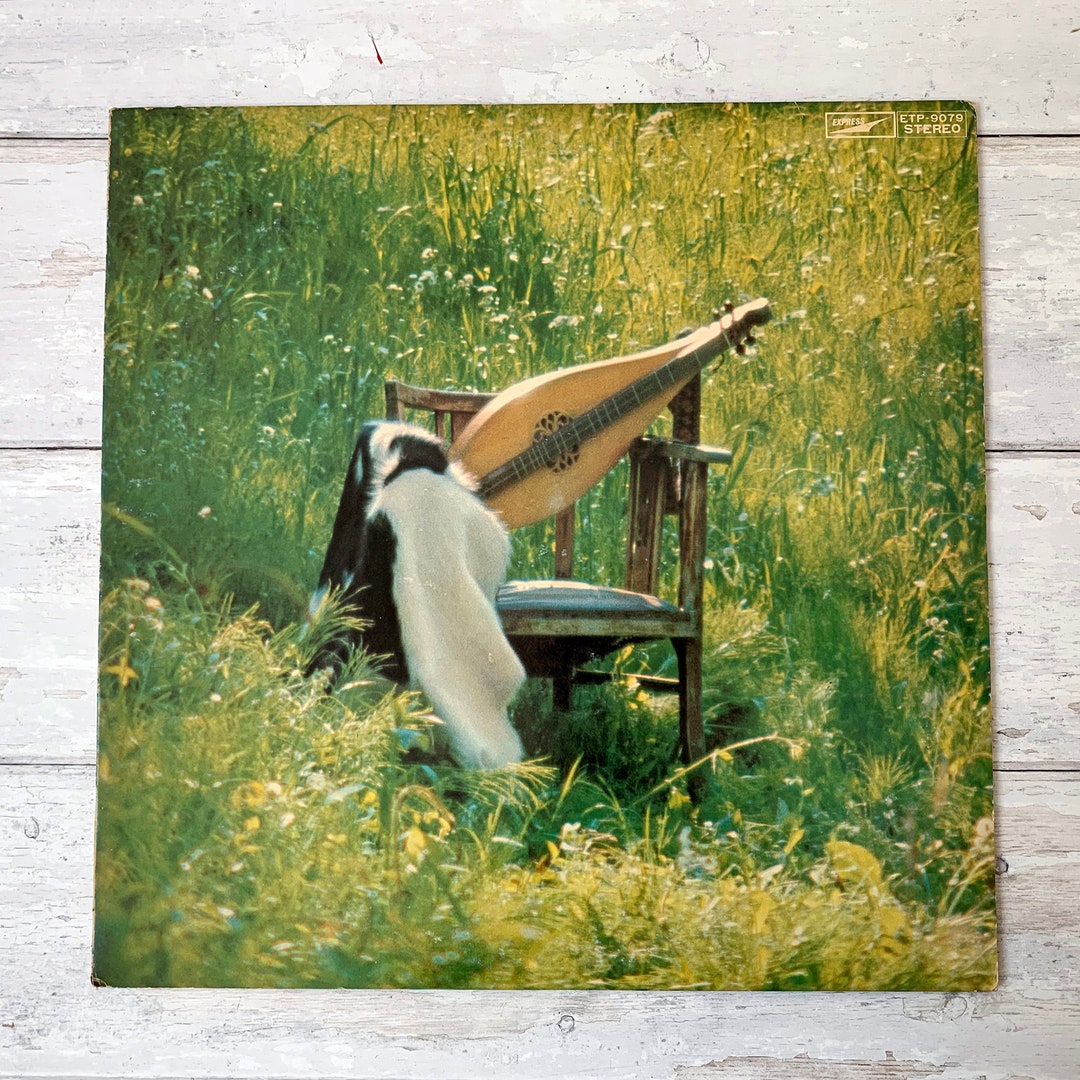 Lily Dulcimer Nothing by Mouth Vintage Vinyl Record 12 LP - Etsy