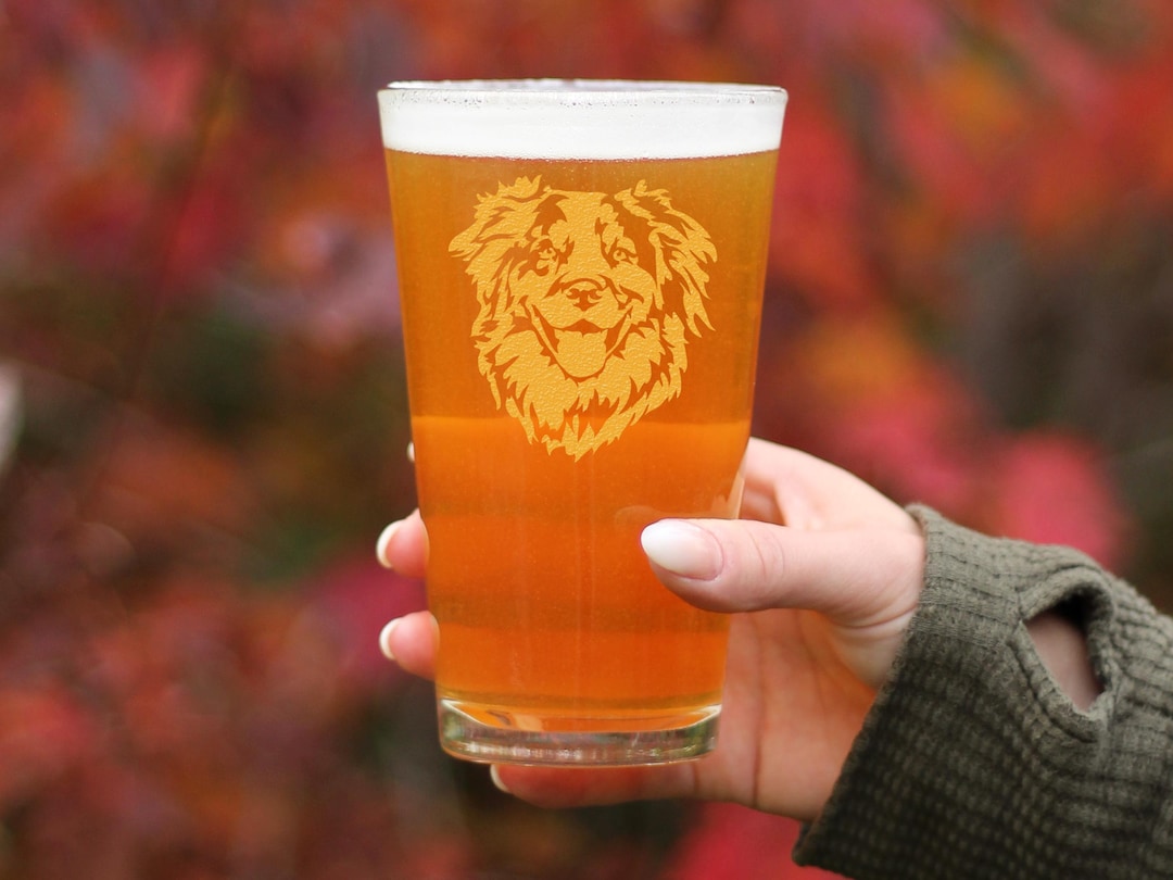 Australian Shepherd Face - Pint Glass, 16 Oz, Etched Sayings - Cute ...