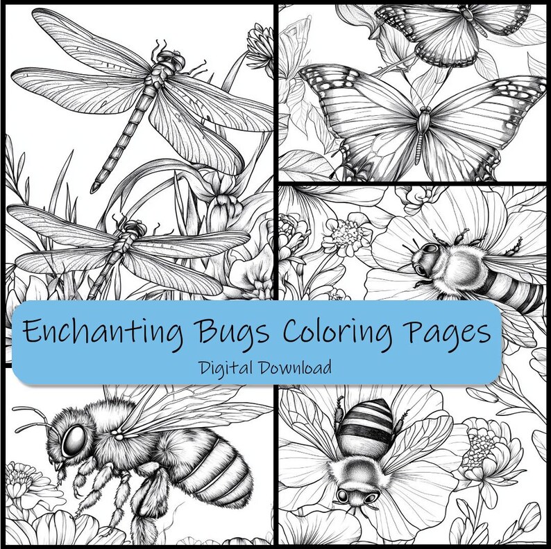 Enchanting Bugs Coloring Pages: Butterflies, Bees, Ladybugs ...