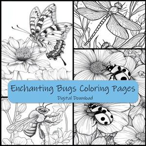 Enchanting Bugs Coloring Pages: Butterflies, Bees, Ladybugs ...