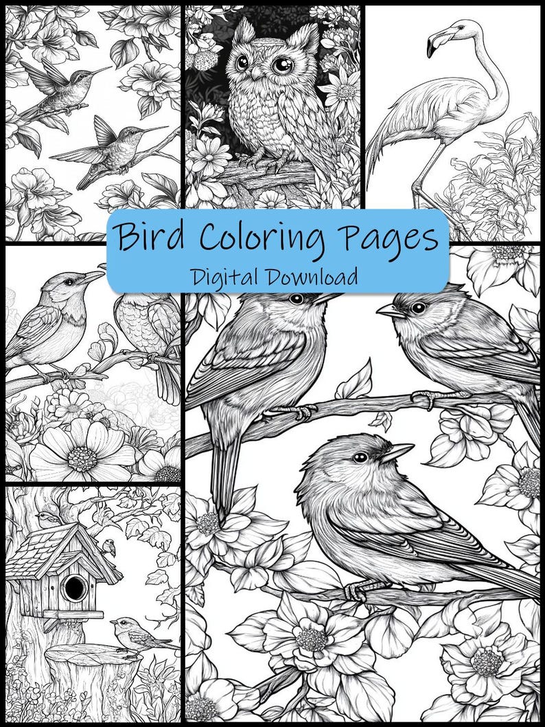40 Bird Digital Coloring Pages Printable Pages, Instant Download, Owl ...