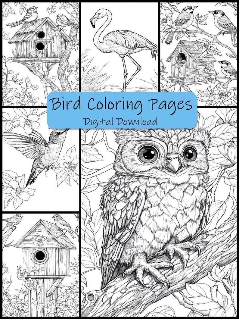 40 Bird Digital Coloring Pages Printable Pages, Instant Download, Owl ...