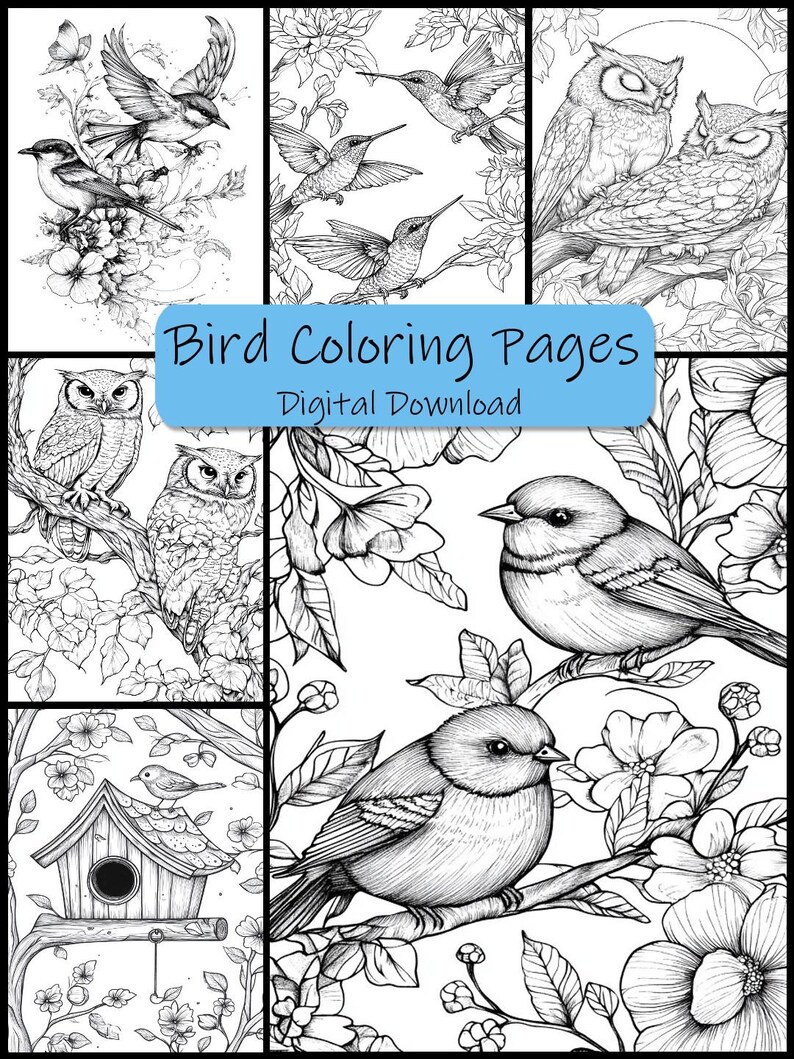 40 Bird Digital Coloring Pages Printable Pages, Instant Download, Owl ...