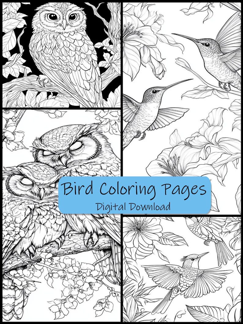 40 Bird Digital Coloring Pages Printable Pages, Instant Download, Owl ...