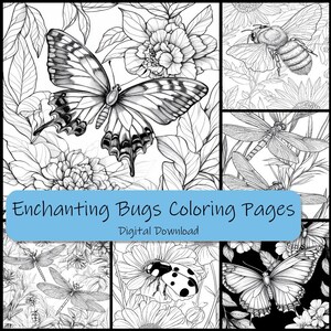 Enchanting Bugs Coloring Pages: Butterflies, Bees, Ladybugs ...