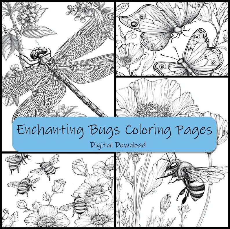 Enchanting Bugs Coloring Pages: Butterflies, Bees, Ladybugs ...
