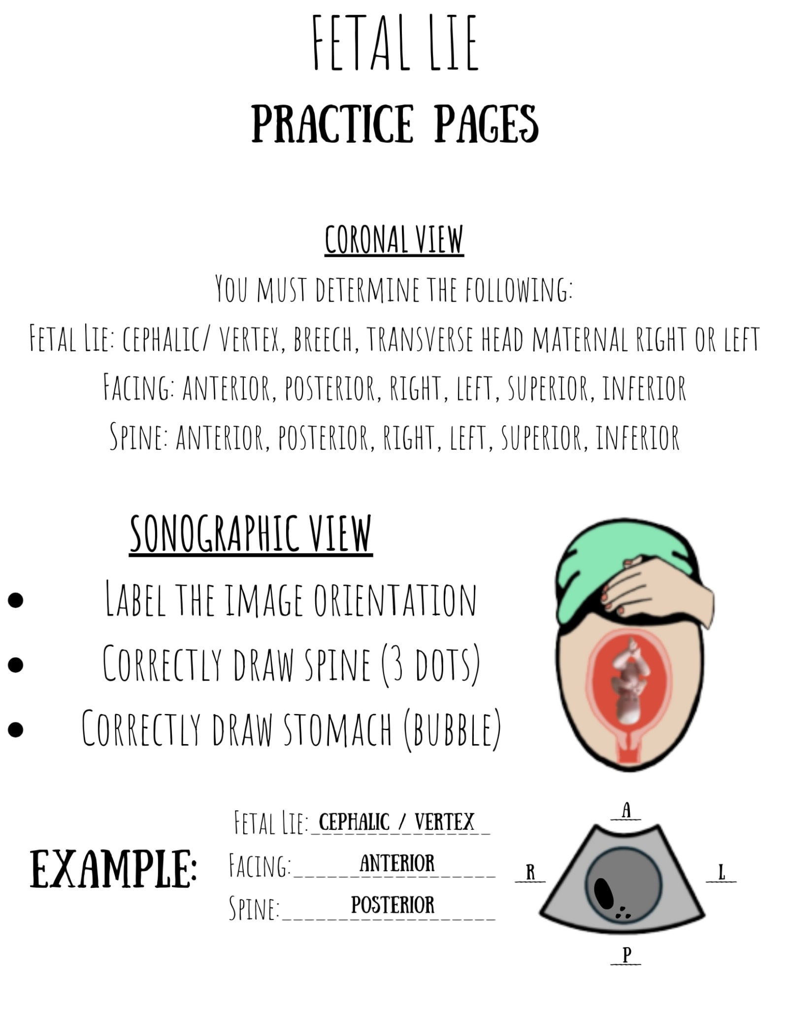 Ultrasound Study Guide: Fetal Lie / Fetal Situs - Etsy