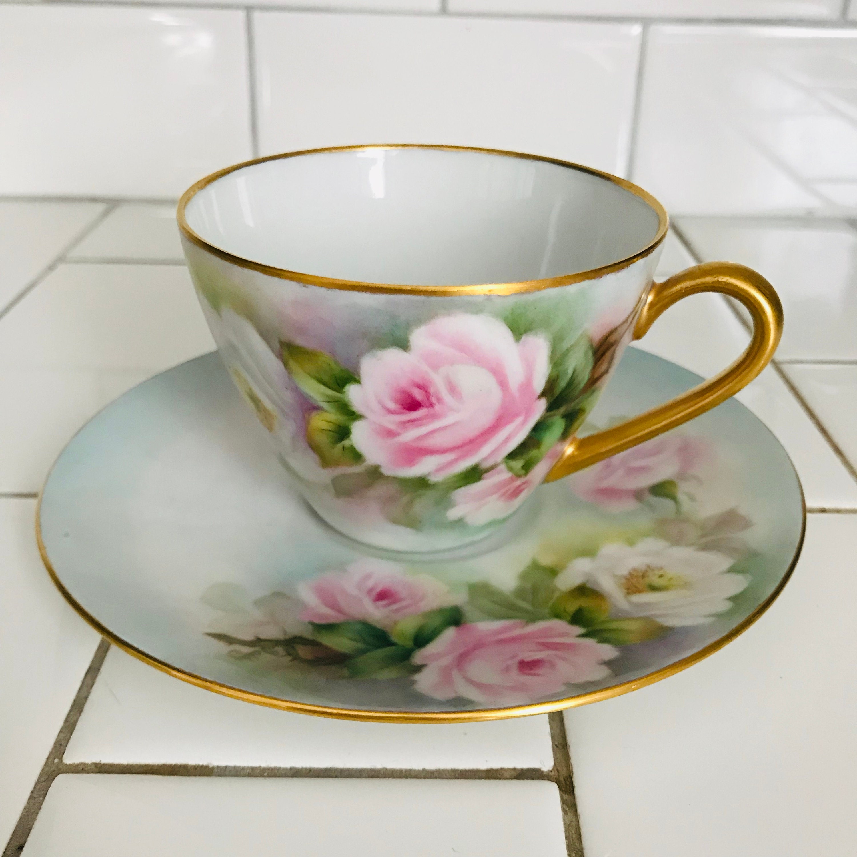 Bavaria Tea cup and saucer hand painted Pink roses on light | Etsy