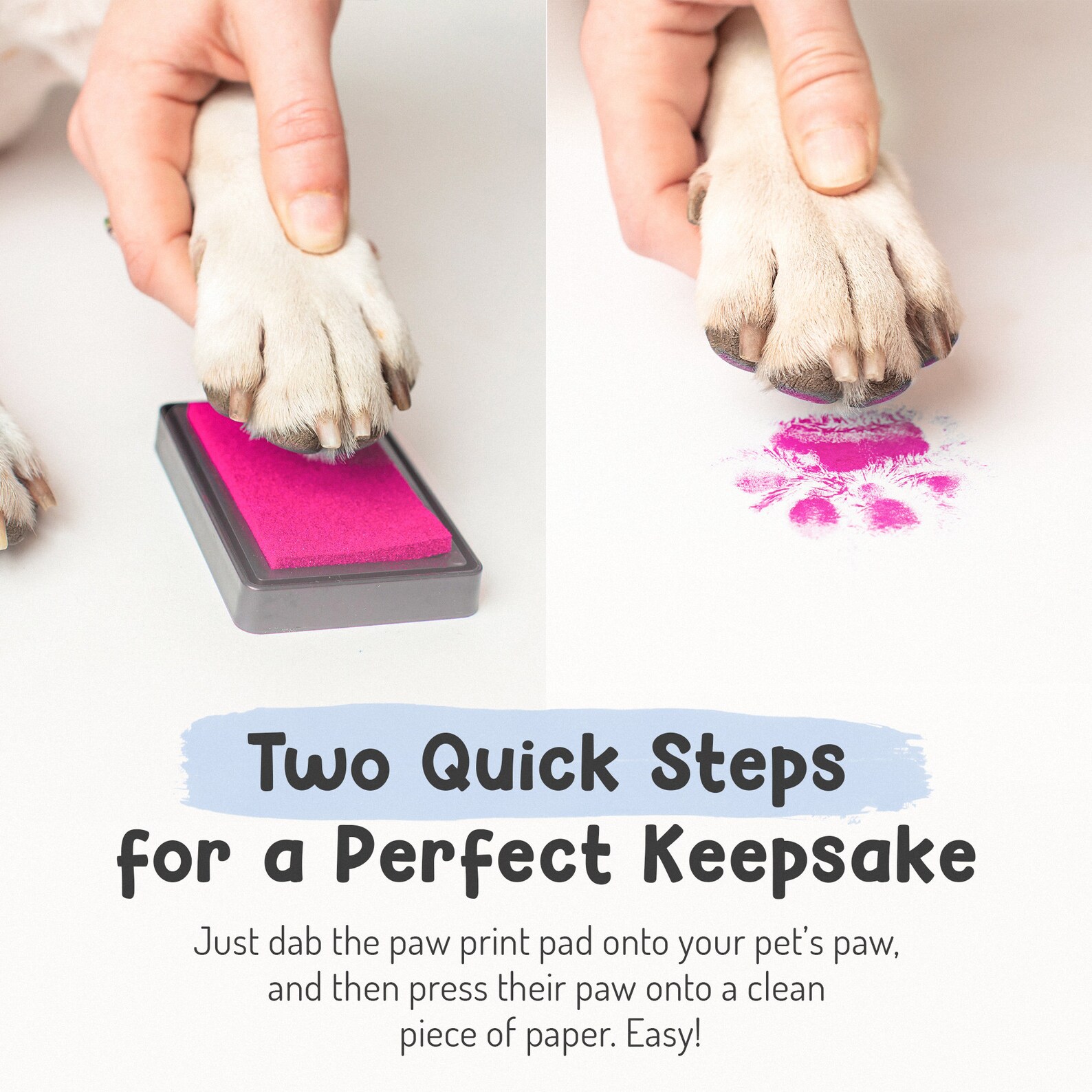 Easy-clean Pet Paw Print Kit Paw Print Pad Non-toxic Ink | Etsy