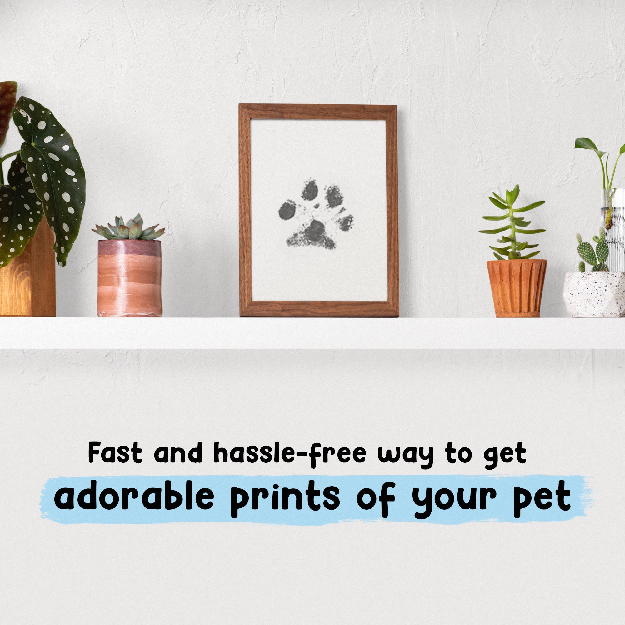 Inkless Pet Paw Print Kit Get High-quality Paw Prints With | Etsy