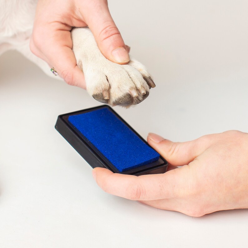 Easy-Clean Pet Paw Print Kit Paw Print Pad Non-Toxic Ink | Etsy