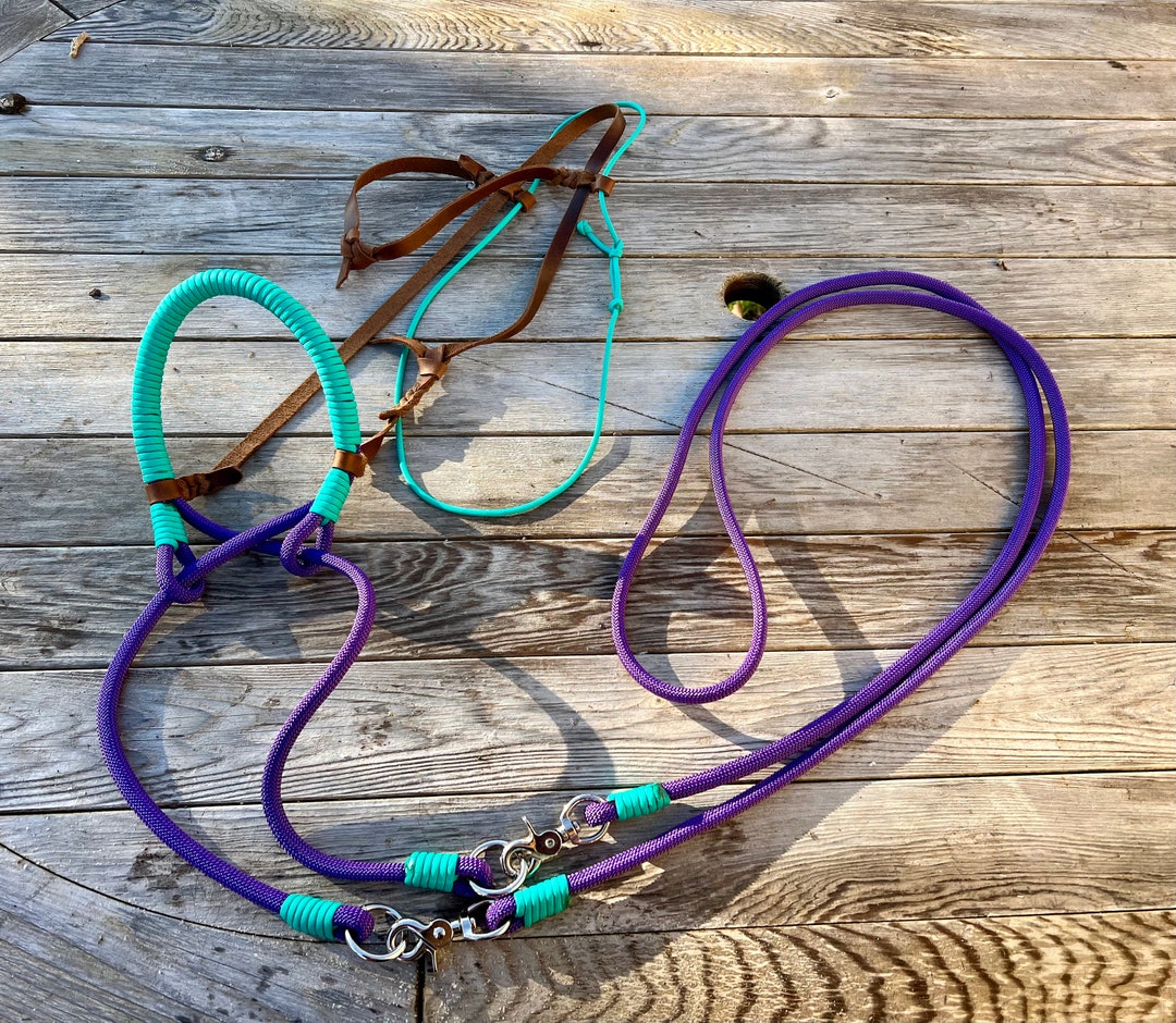 Happy Hack Bitless Bridle - Etsy