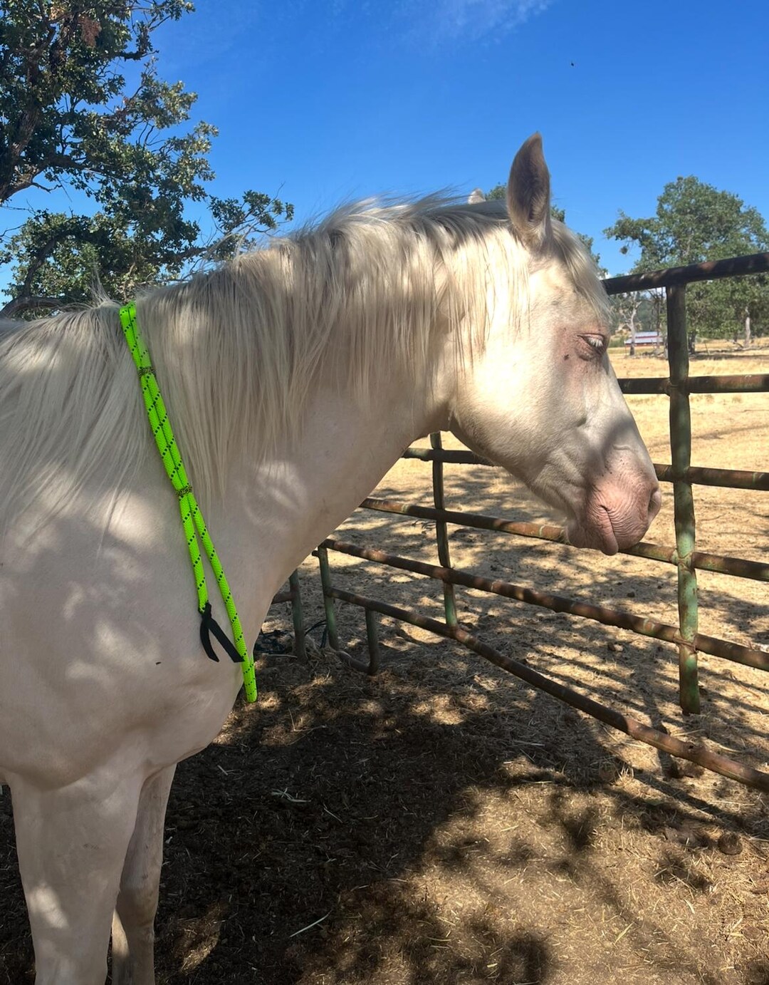 Liberty Riding Neck Ropes for Riding Bridleless. - Etsy