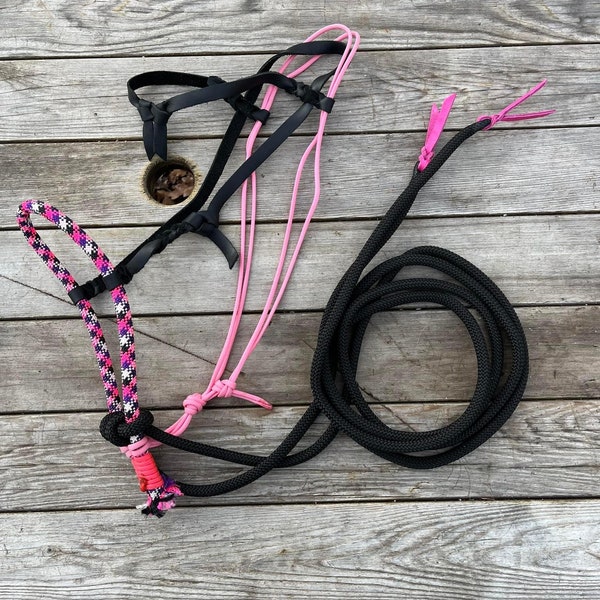 Pony Hackamore - Etsy