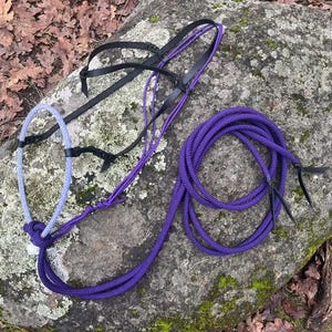 Handmade Loping Hackamore: Lariat Noseband, Colt Starting - Etsy