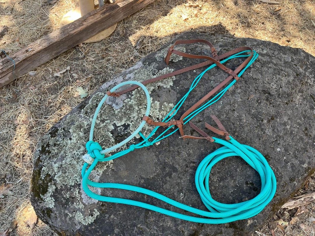 Handmade Loping Hackamore: Lariat Noseband, Colt Starting - Etsy