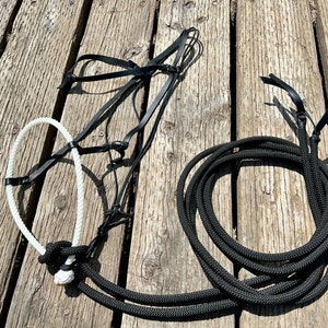 Handmade Loping Hackamore: Lariat Noseband, Colt Starting - Etsy