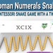 Montessori Snake Game: Roman Numerals 1-100, Addition & Subtraction ...