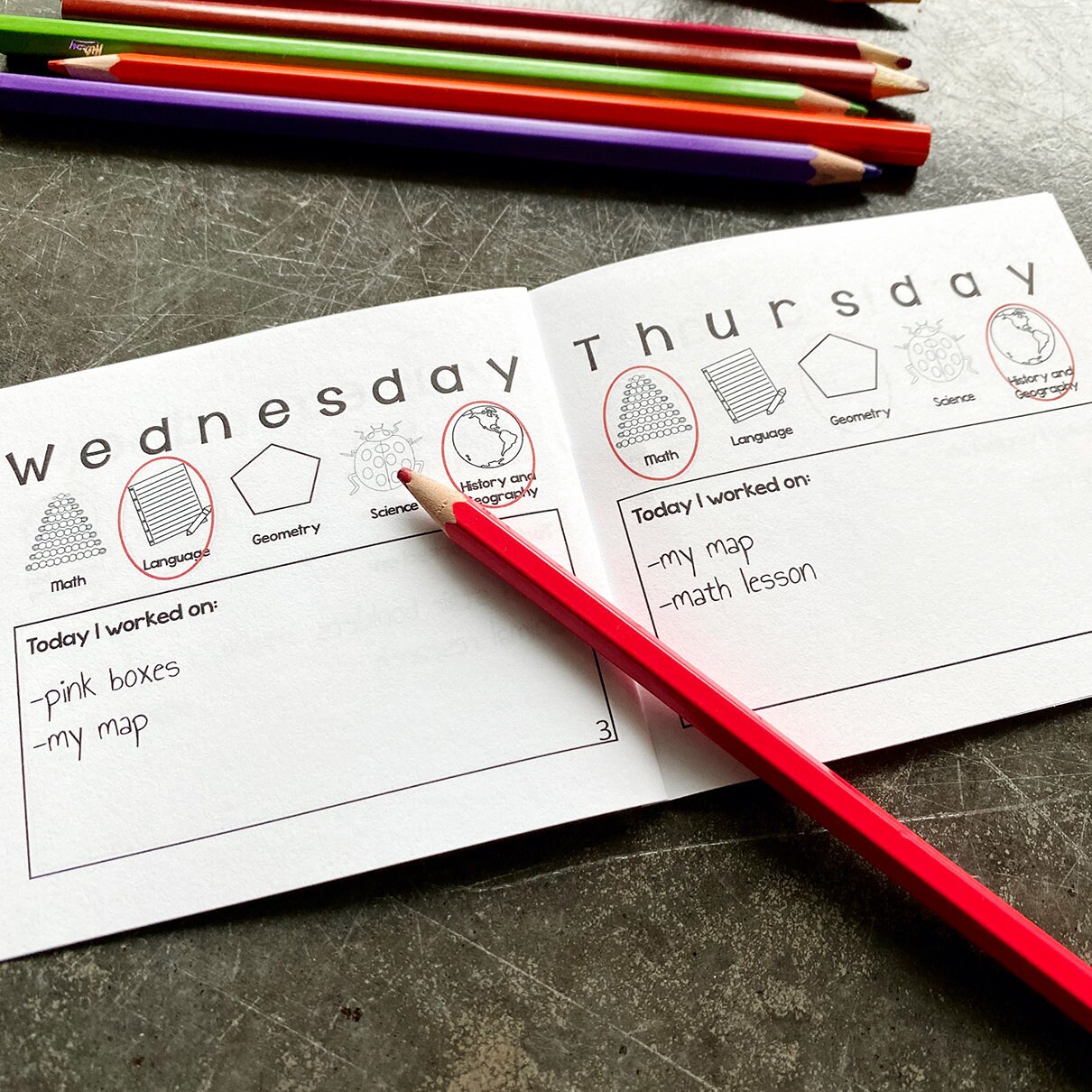 Montessori Work Plan Mini Booklet - Etsy