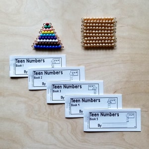 Montessori Math Numbers 19 and 1119 with the Colored Bead | Etsy