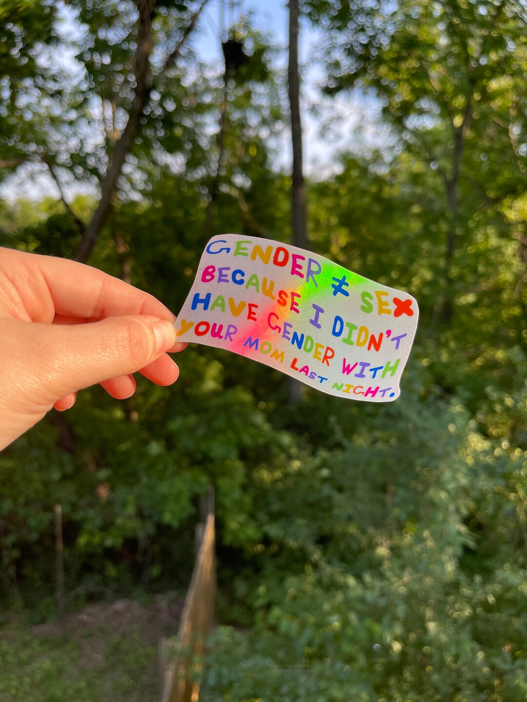 Gender Sex Holographic Sticker Pride Month Trans Pride Etsy
