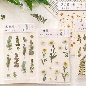 Wildflower Stickers, Botanical Sticker Pack, Foliage Stickers ...