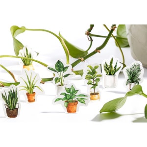 Plant Sticker Pack, Foliage Stickers, Leaf Stickers 45 Pcs, Planner ...