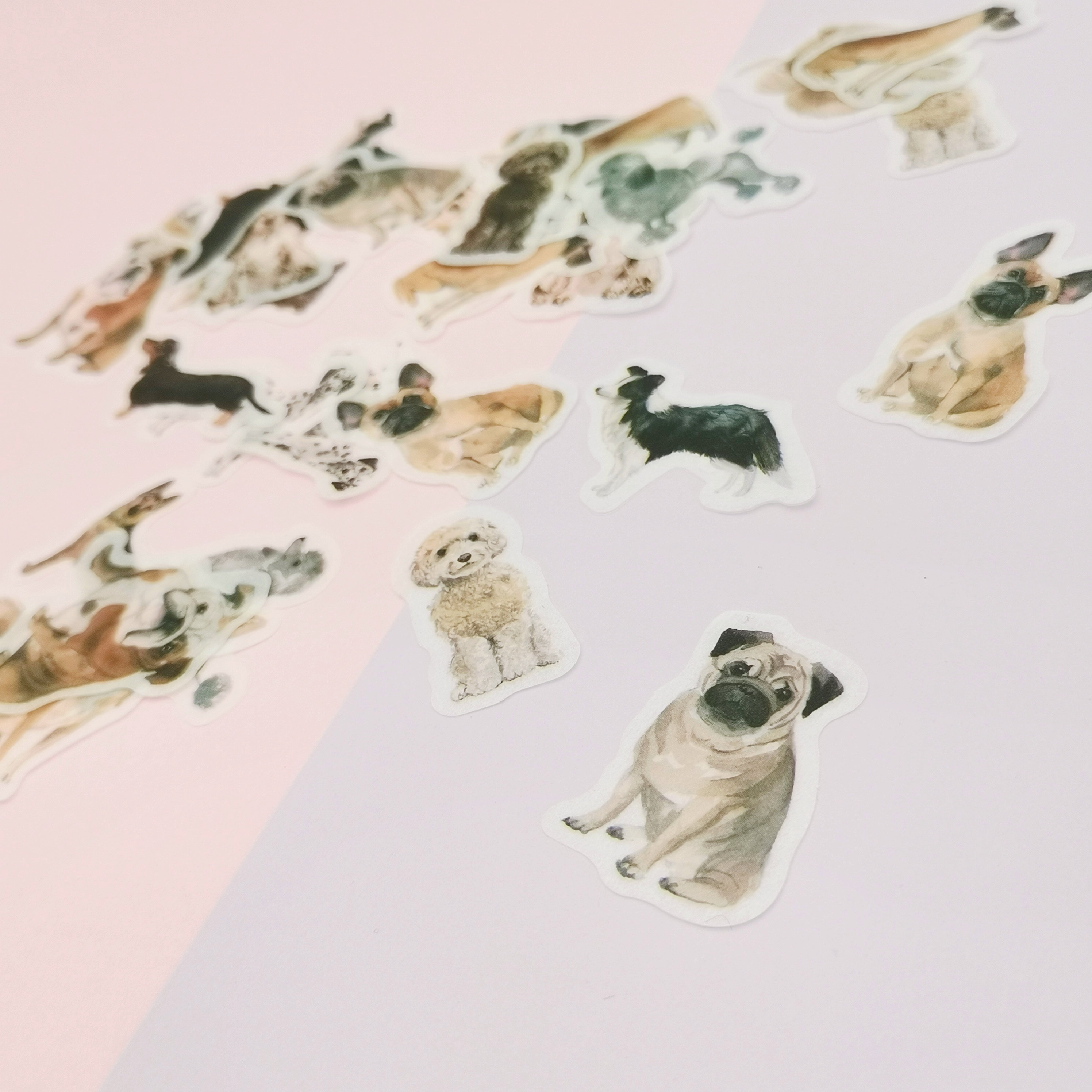 Dog Sticker Pack Dog Breeds Stickers Pet Stickers Animal - Etsy UK